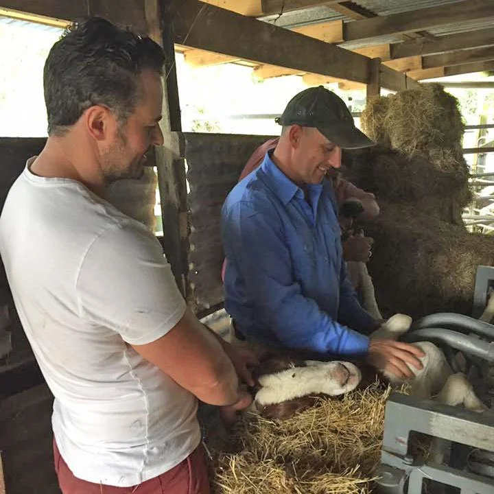 Hallston Valley Farm • Hampers & Farm Experiences