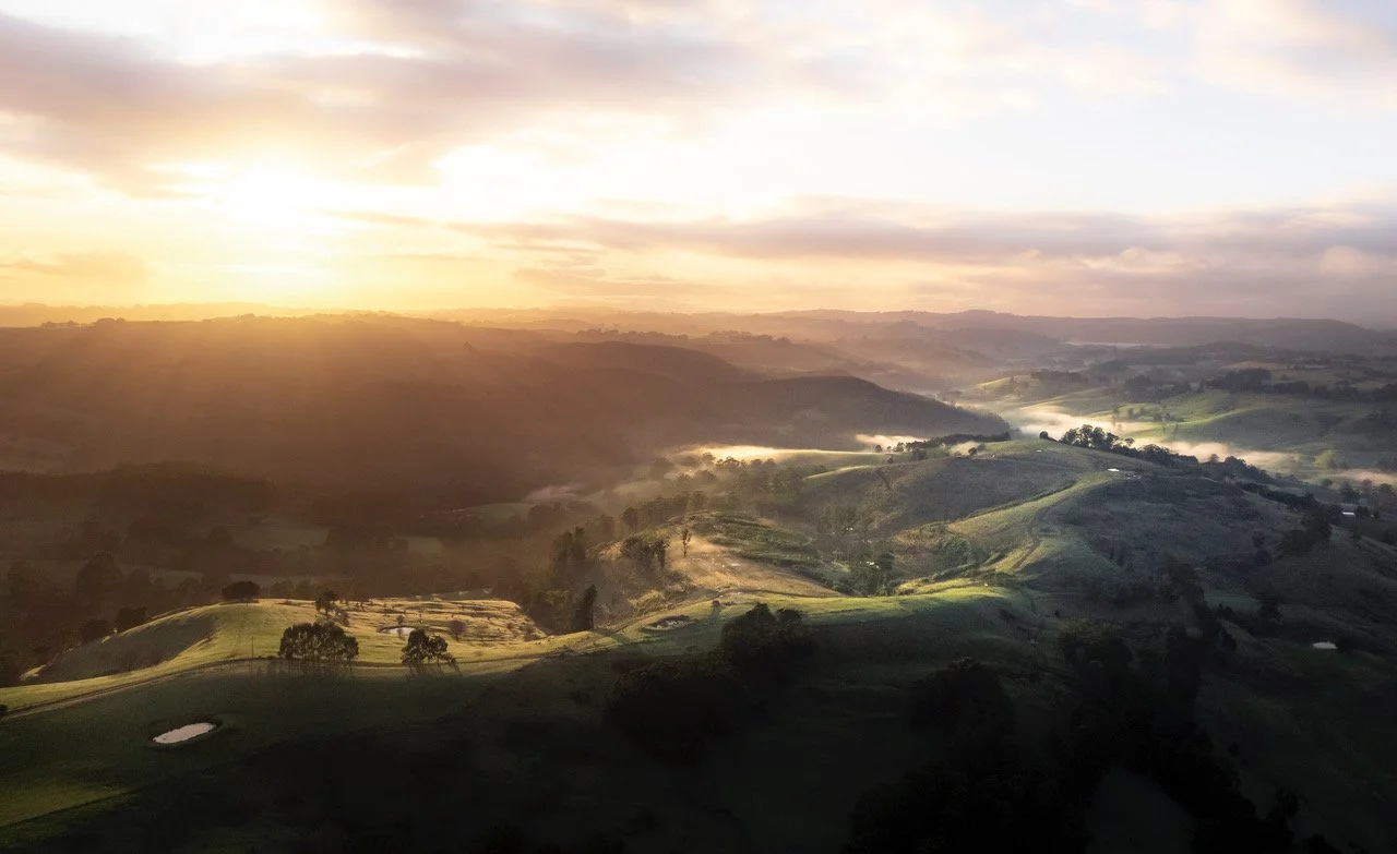 Hallston Valley Farm • Online Lamb Orders & Farm Experiences