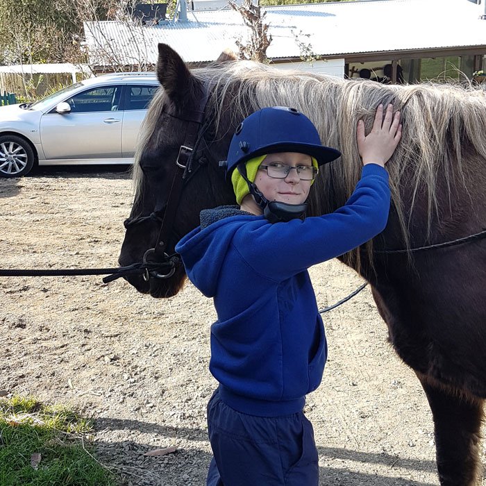 Hallston Valley Farm • Hampers & Farm Experiences