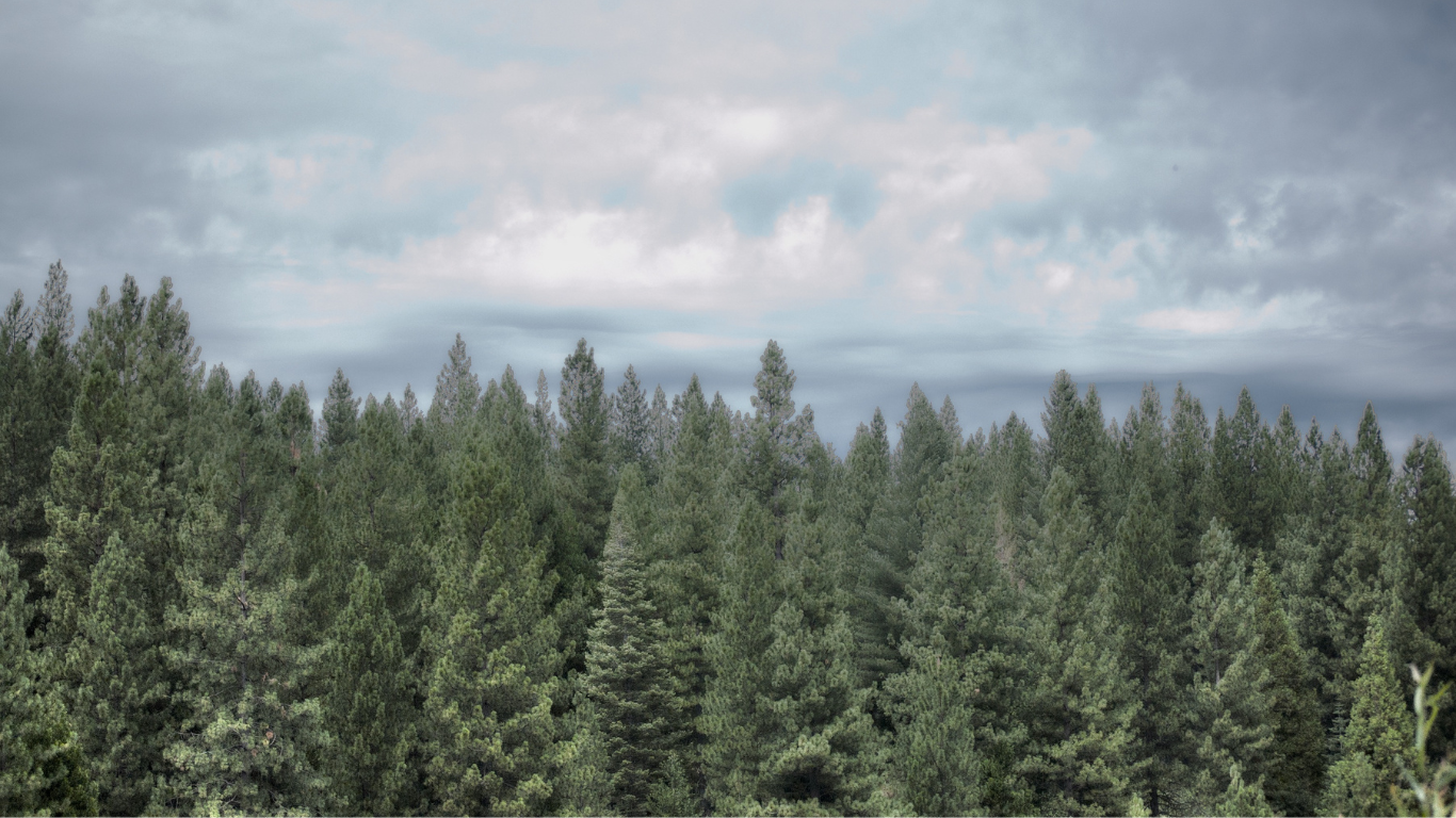 Clearview Training and Consulting Inc | Empower Your Organization Today