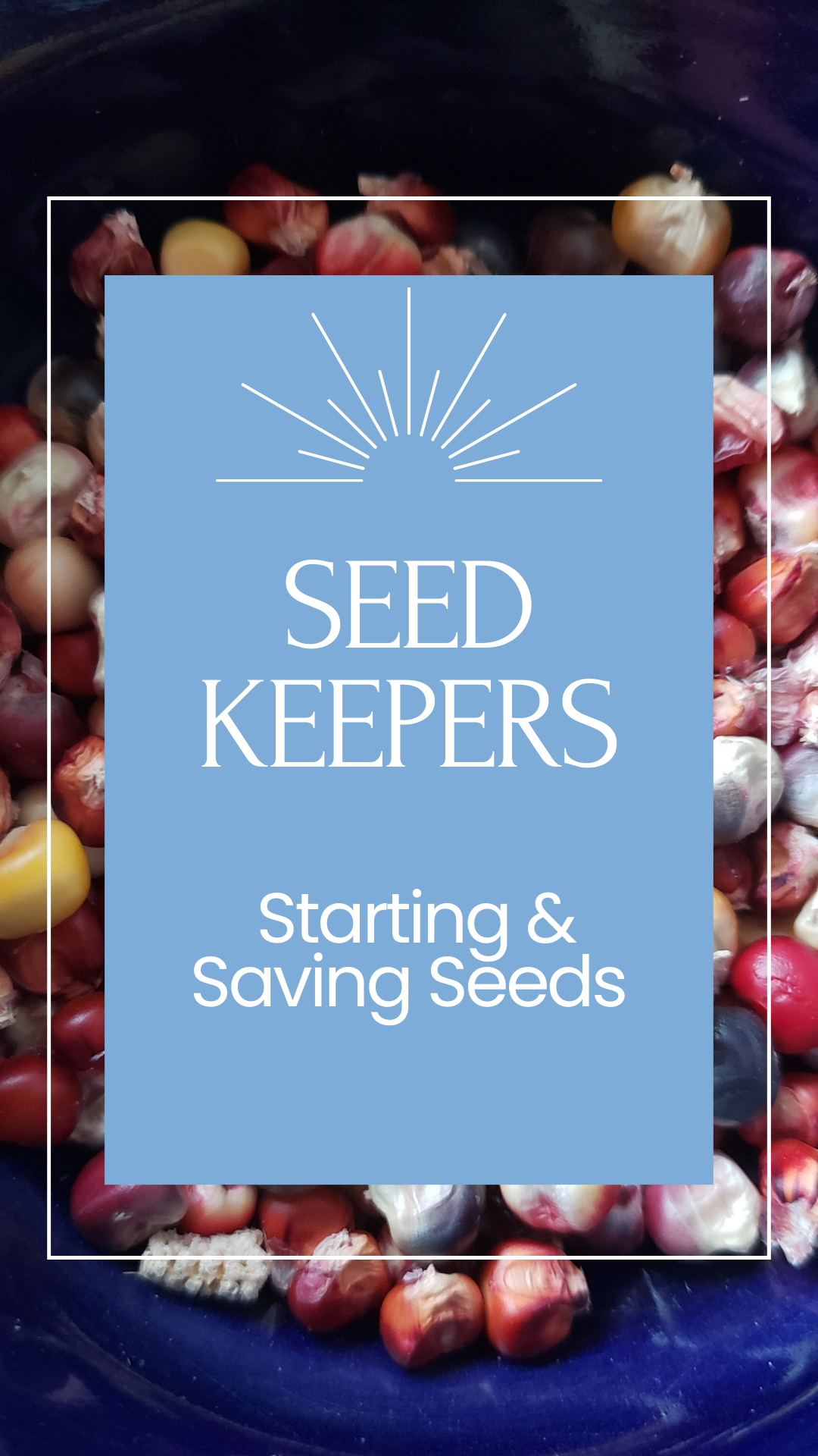 WIWL online courses — Water It With Love