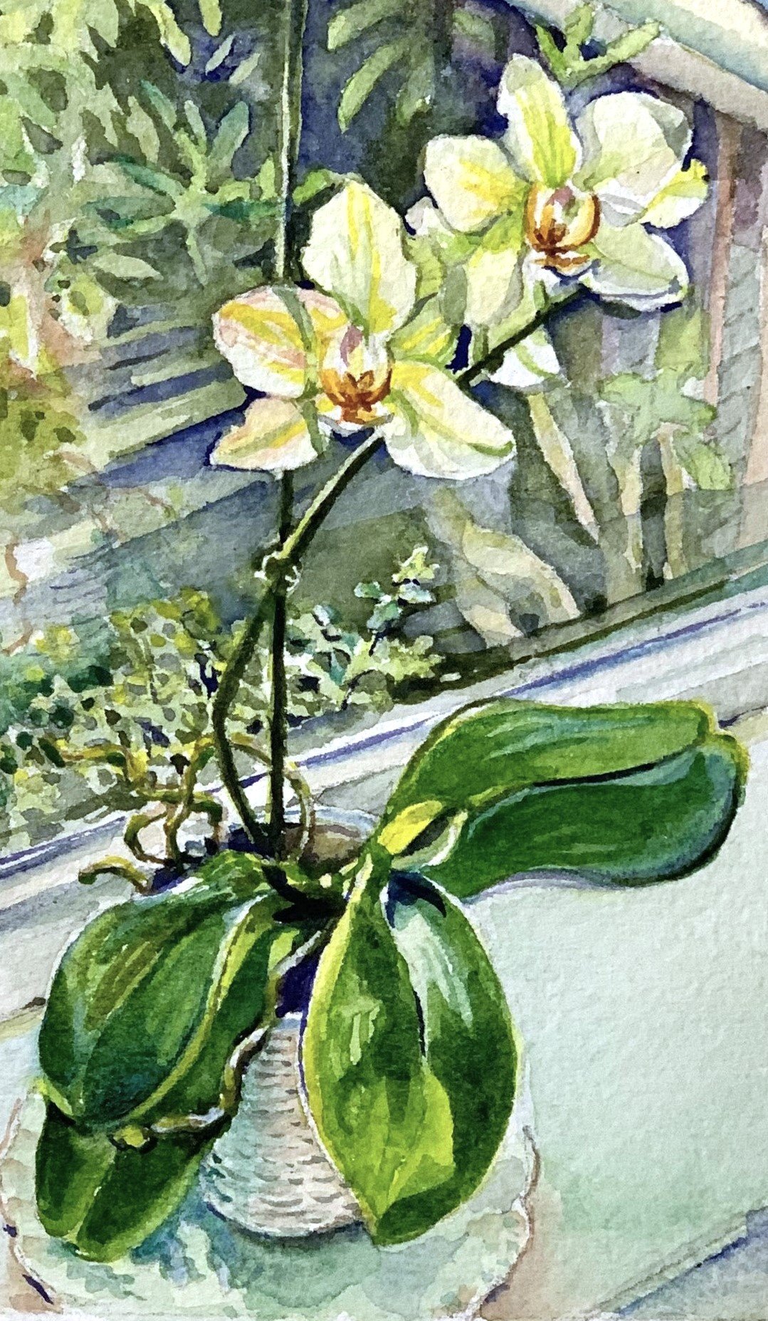 Gallery — Wisp & Bloom Watercolors