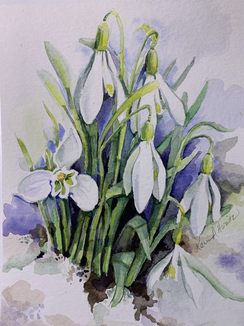 Gallery — Wisp & Bloom Watercolors