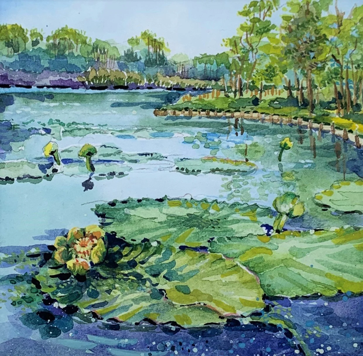 Gallery — Wisp & Bloom Watercolors