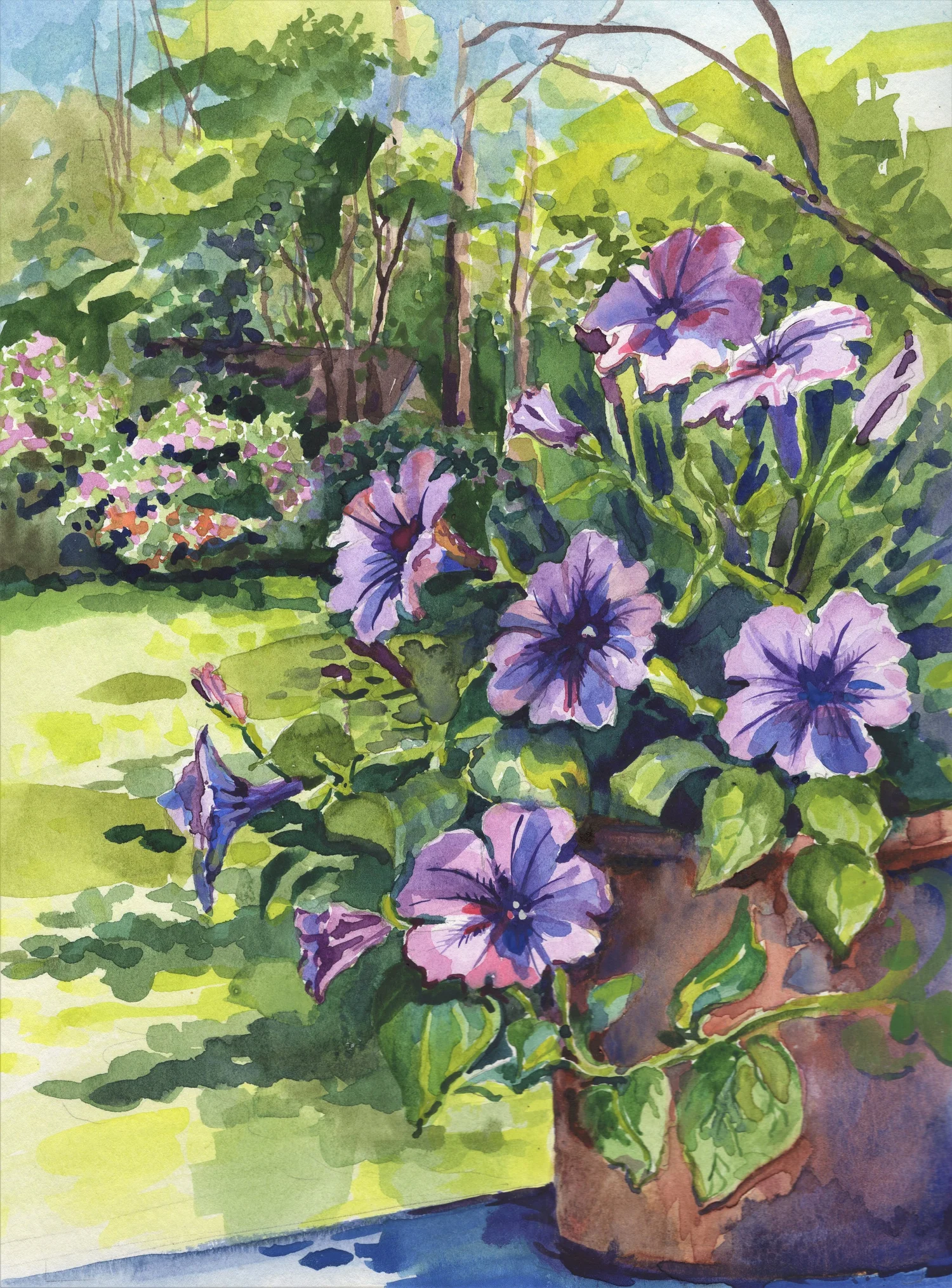 Gallery — Wisp & Bloom Watercolors