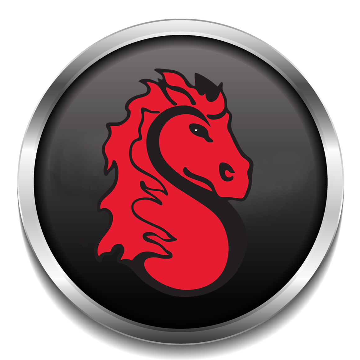 PERFORMANCE PARTNERS — ETS Performance