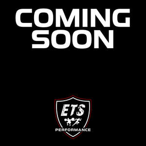 MICHIGAN — ETS Performance