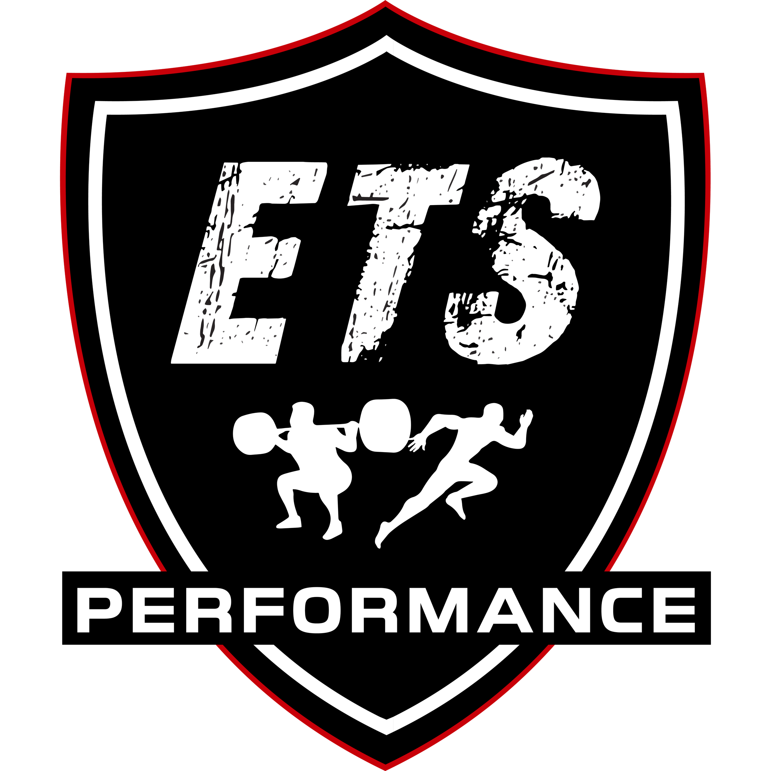 Performance Training Logo