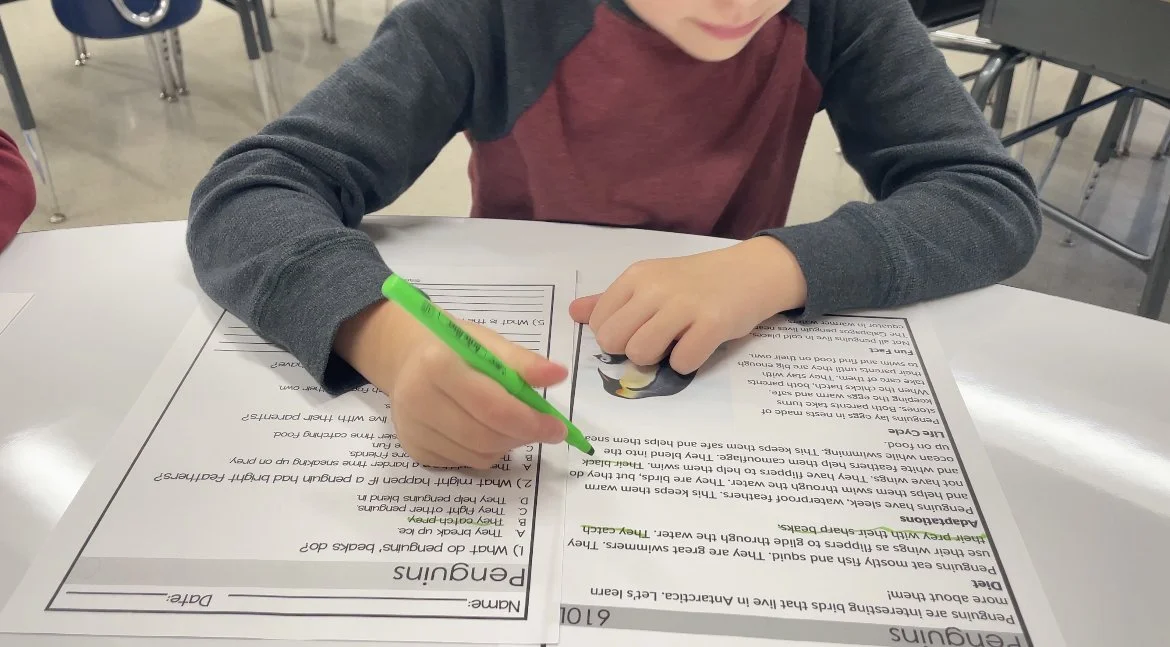 Mastering Main Idea Of Any Text With These Simple Teaching Ideas — The ...