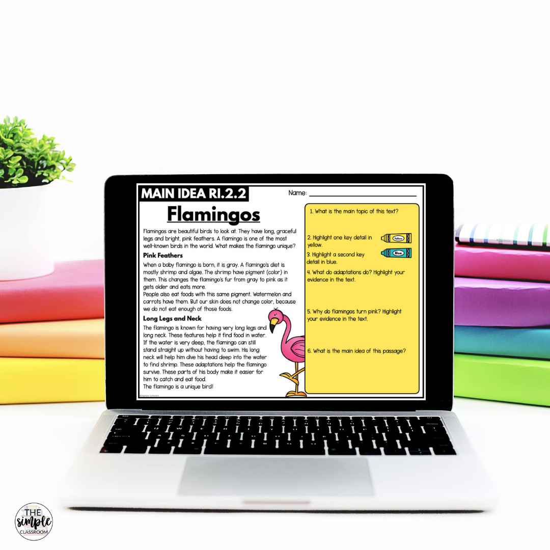 Freebie Landing Page — The Simple Classroom