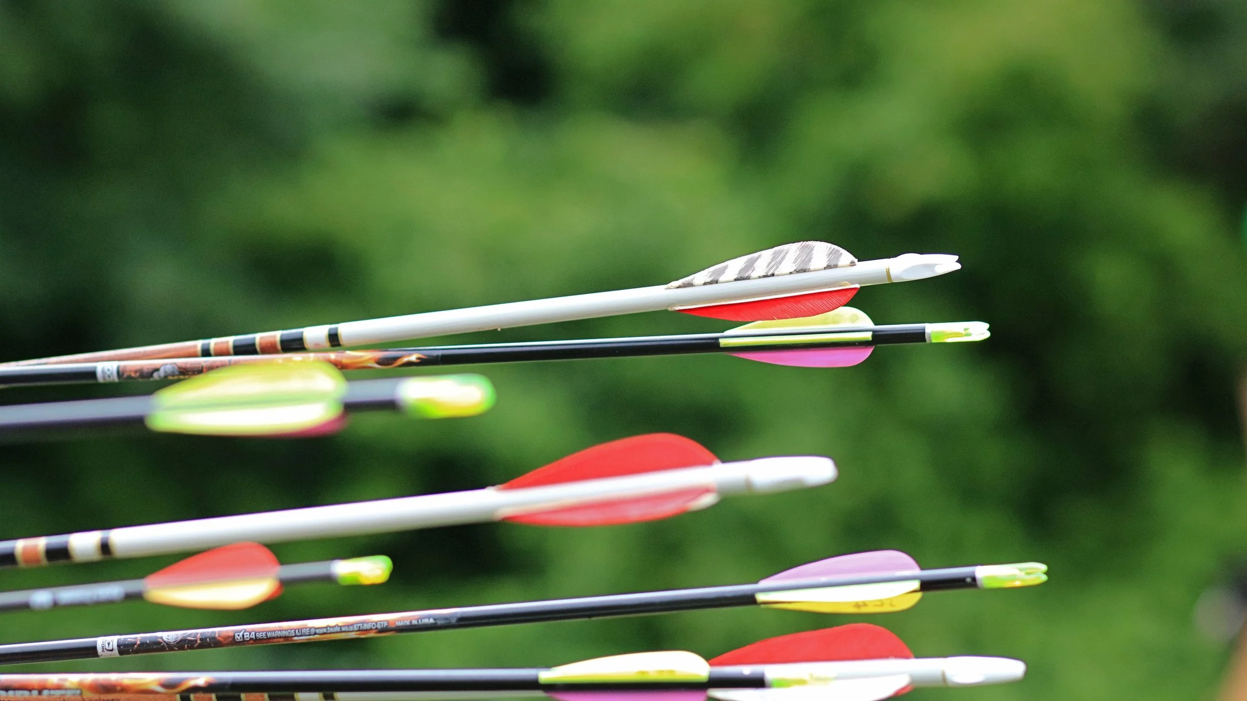 Club tournament photos — Castle Bowmen