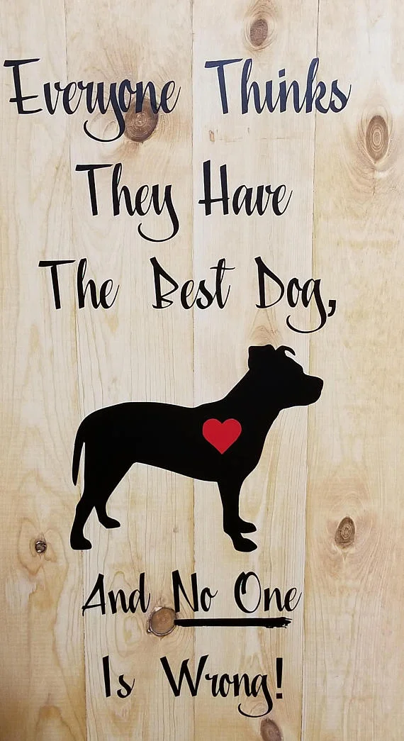 Why Does Everyone Need A Dog