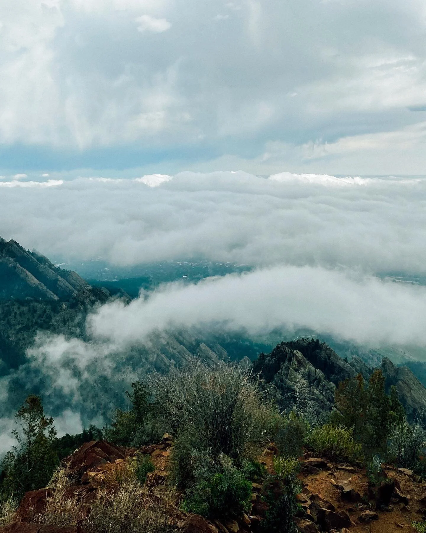 About Me — MARIA EFTING