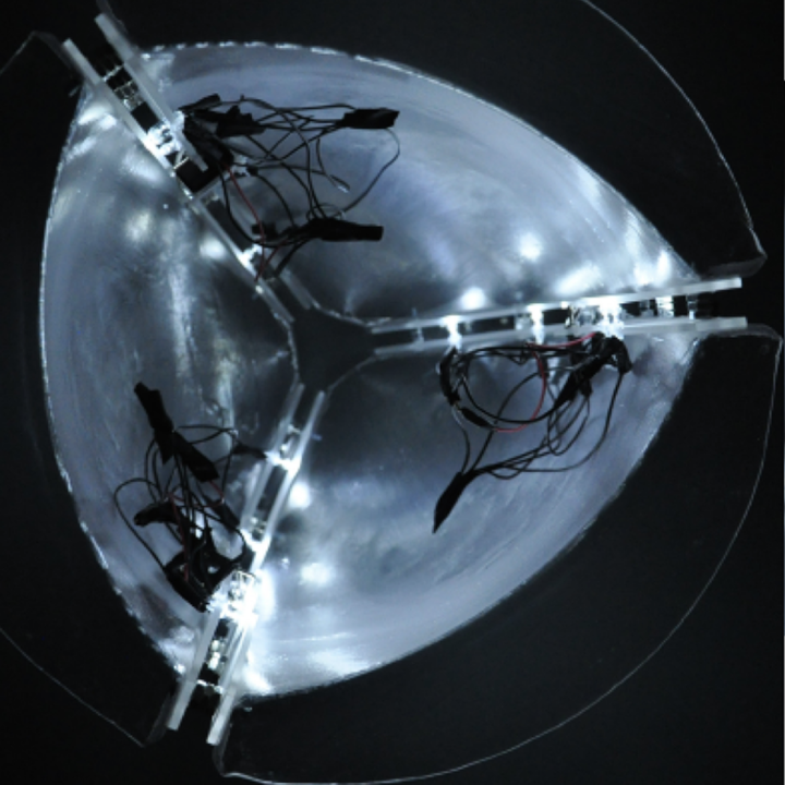 Wider Portfolio — Michael Senkow