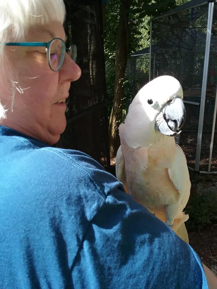 Parrot Hope Rescue in Mantua, Ohio — MAEBS