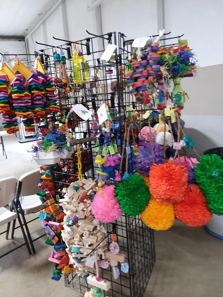 Annual Bird Fairs — MAEBS