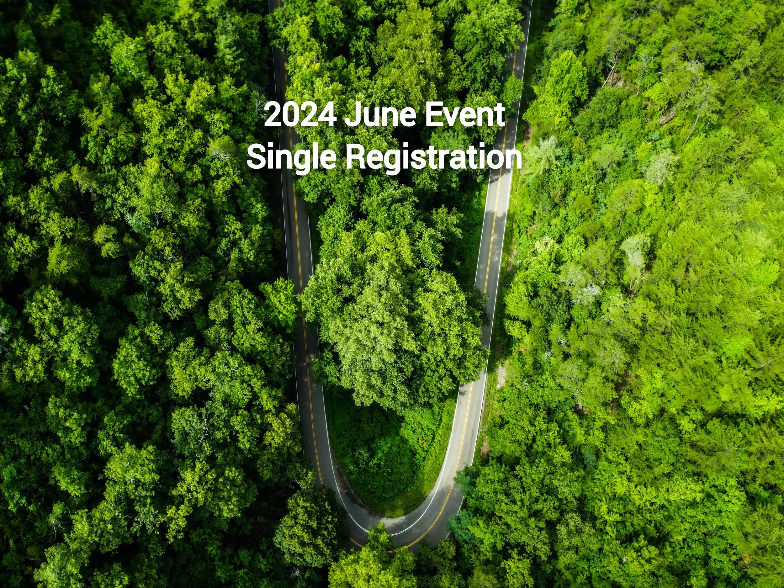 Shop — Rennsport Dragon Rally