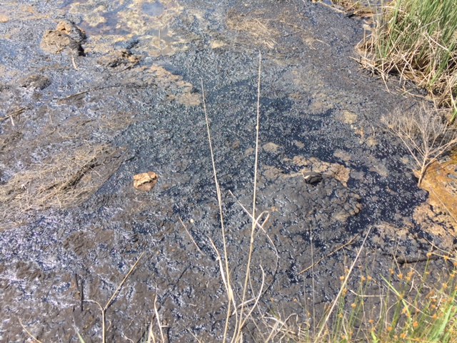 Tar Pit & Geronimo’s Bluff — Traveling Life's Highways