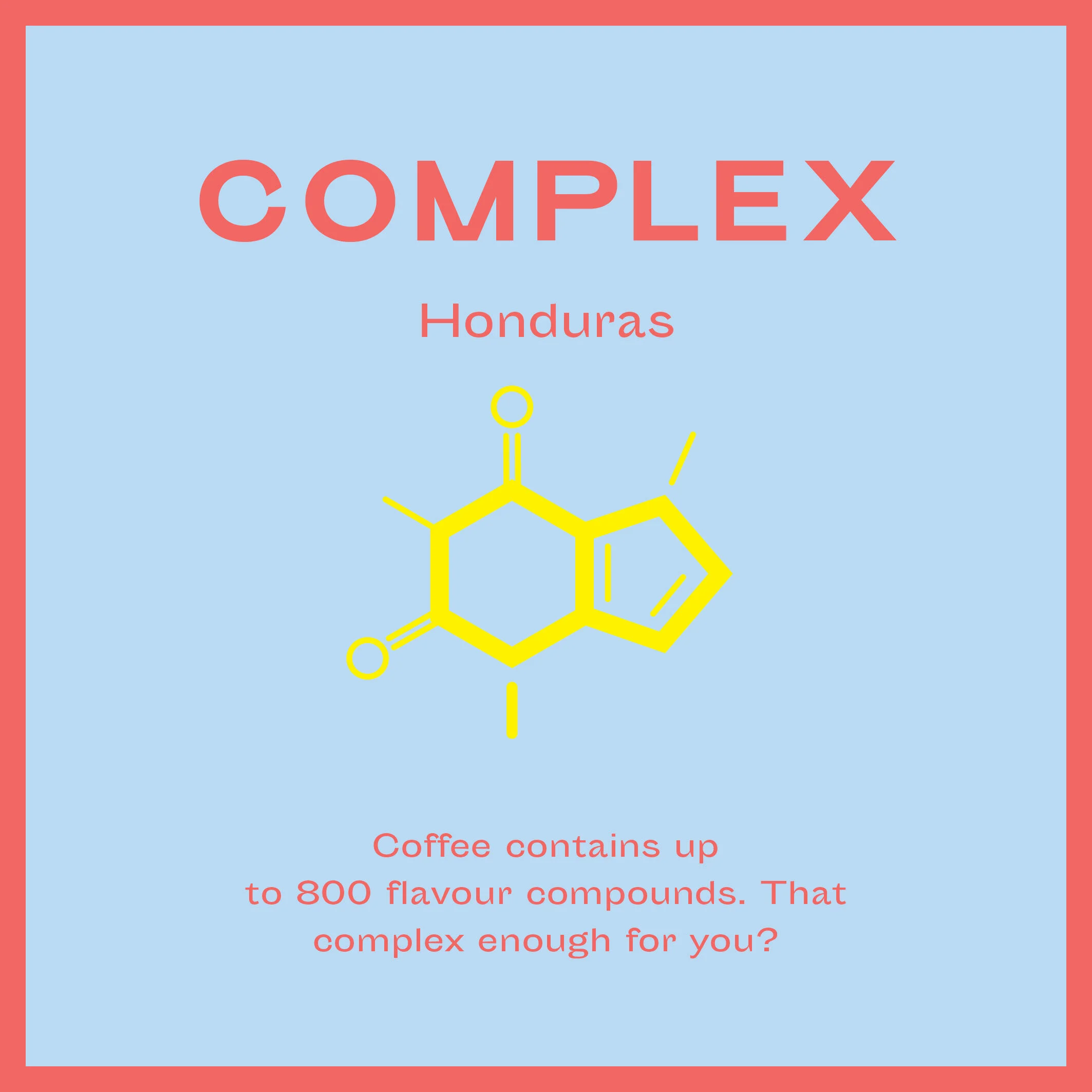 Damn Good Coffee Roastery in Scotland | Common Coffee