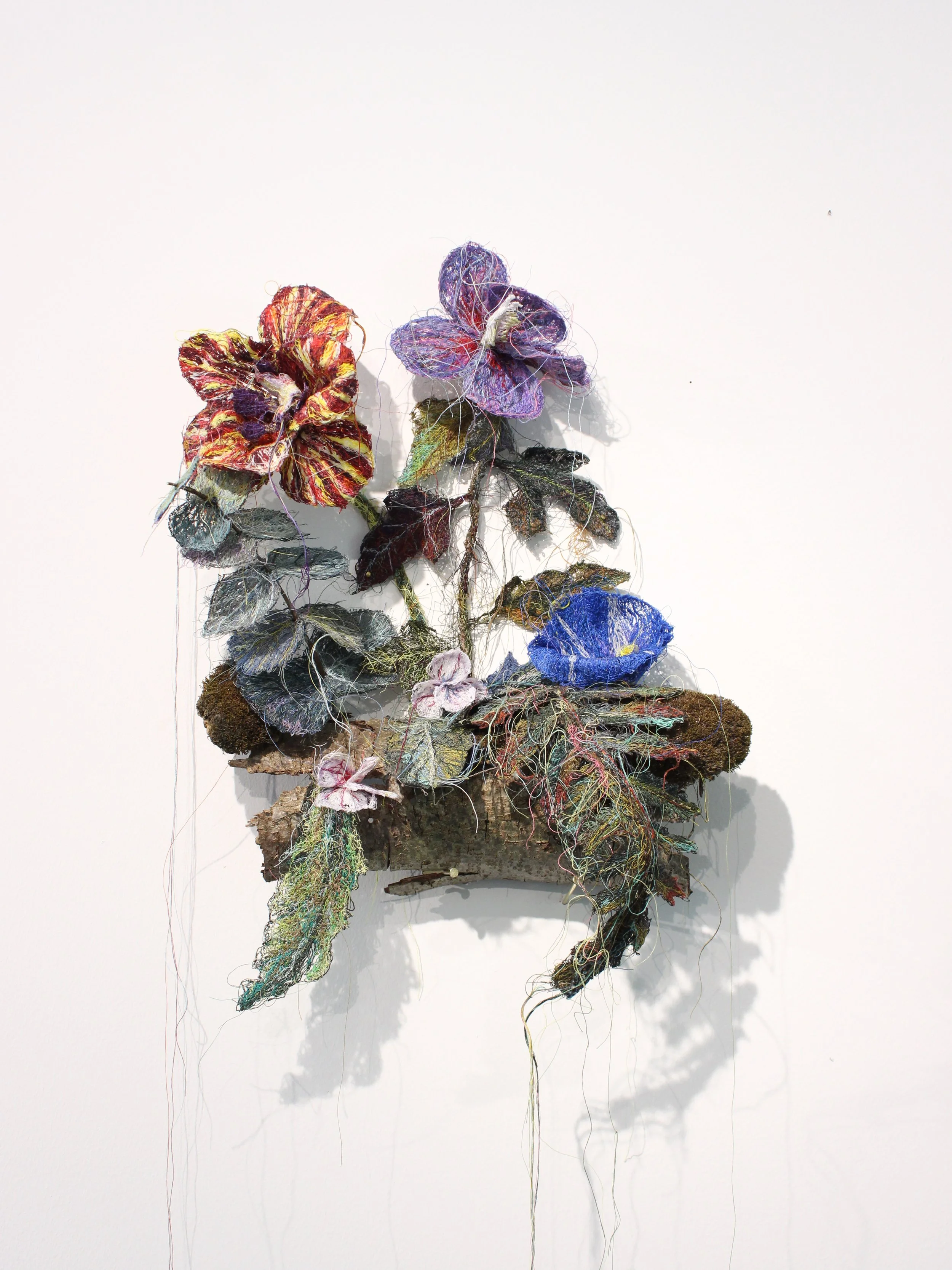 Memorabilia — CAROLA VAN DYKE studio