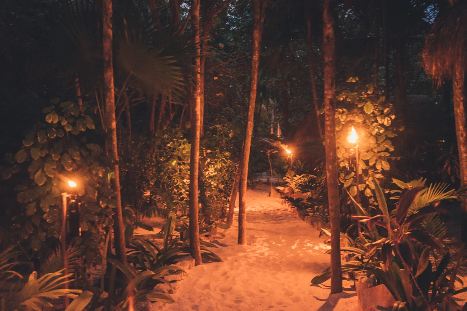 NEST Tulum - Where Jungle Meets Paradise | In Between Pictures