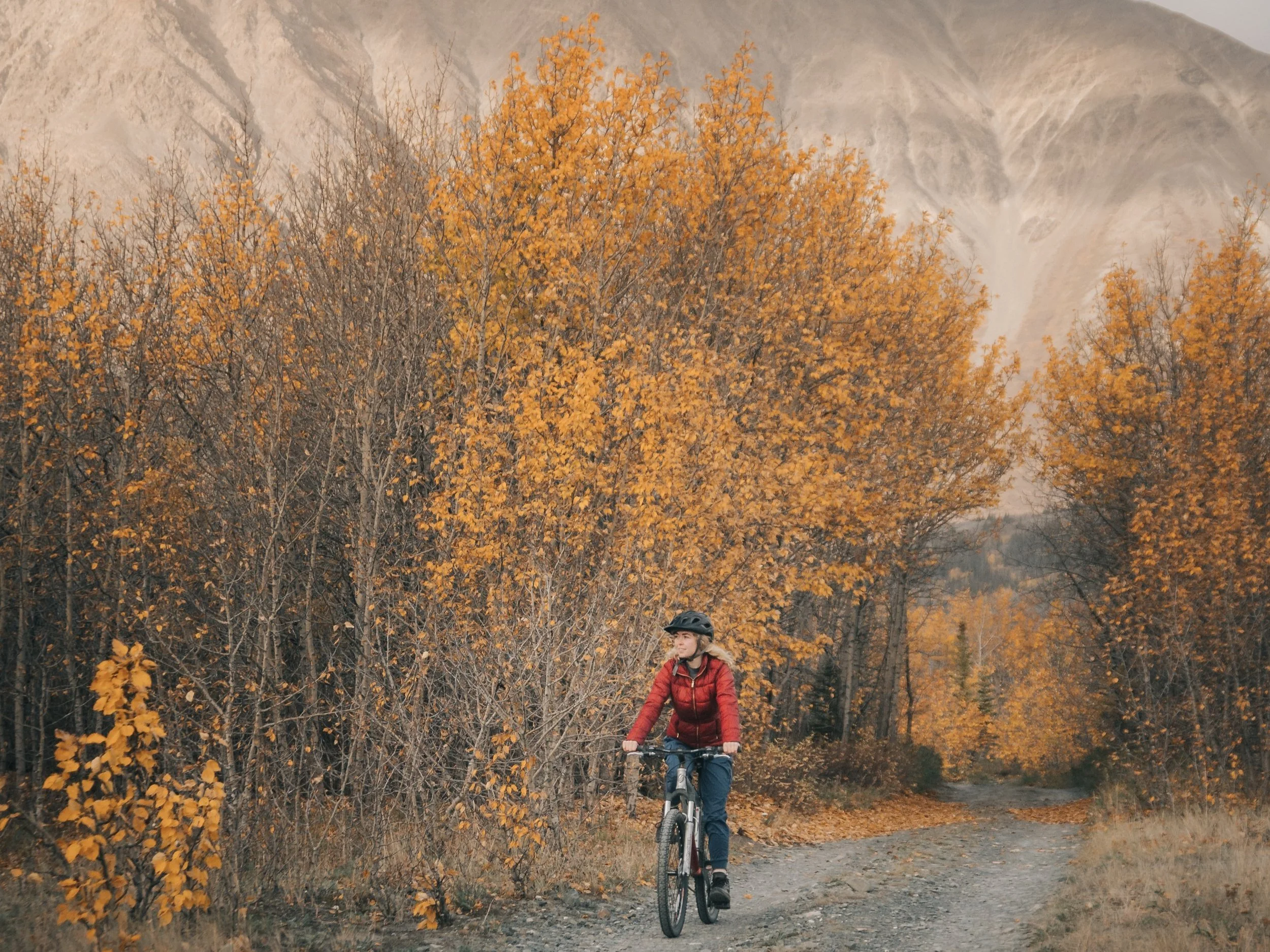 Whitehorse Summer Travel Guide — Overland Yukon