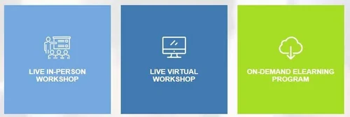 Using The SLII® Model — Sarah Scala Consulting