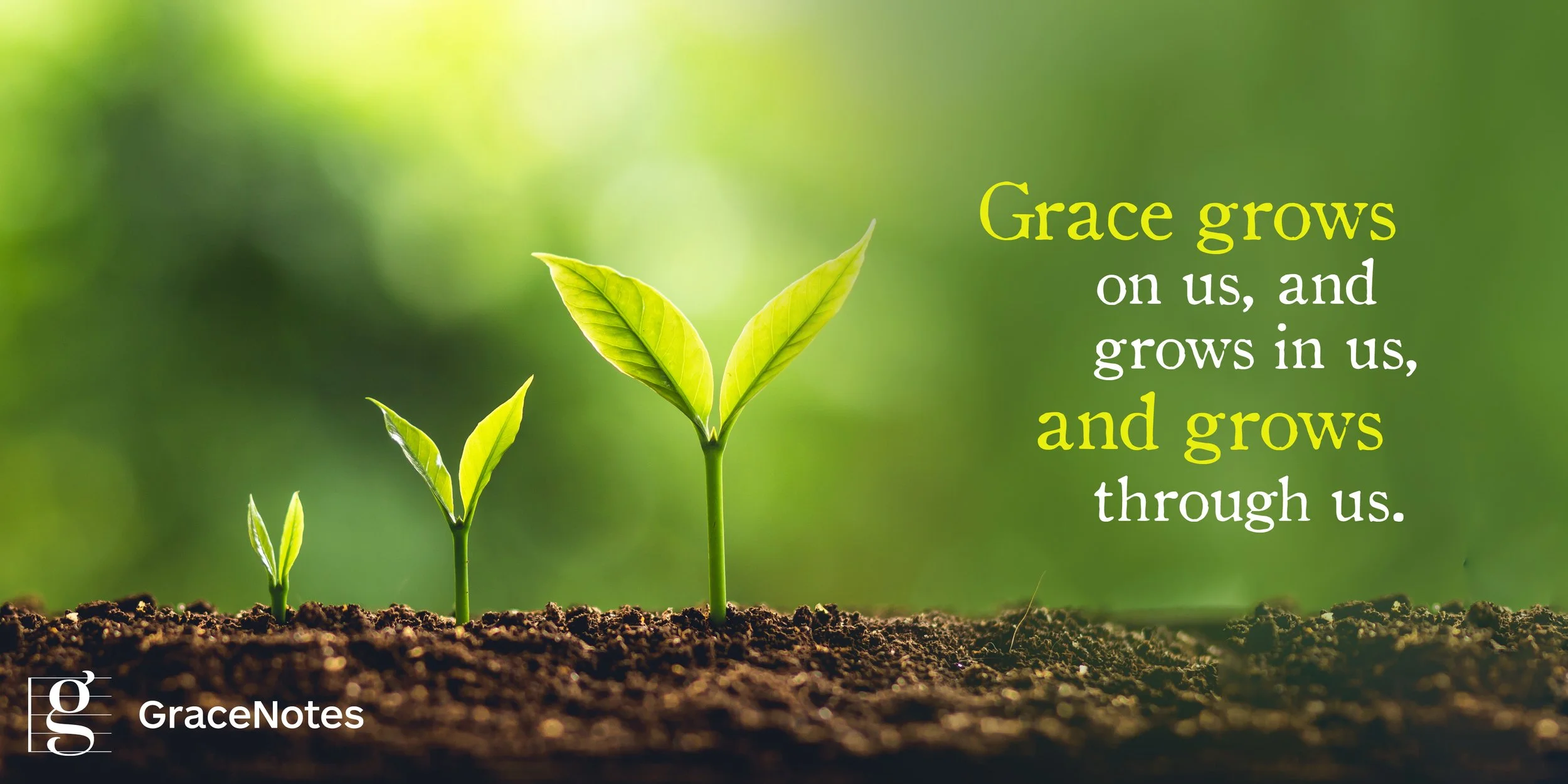 Growing in Graciousness — GraceNotes