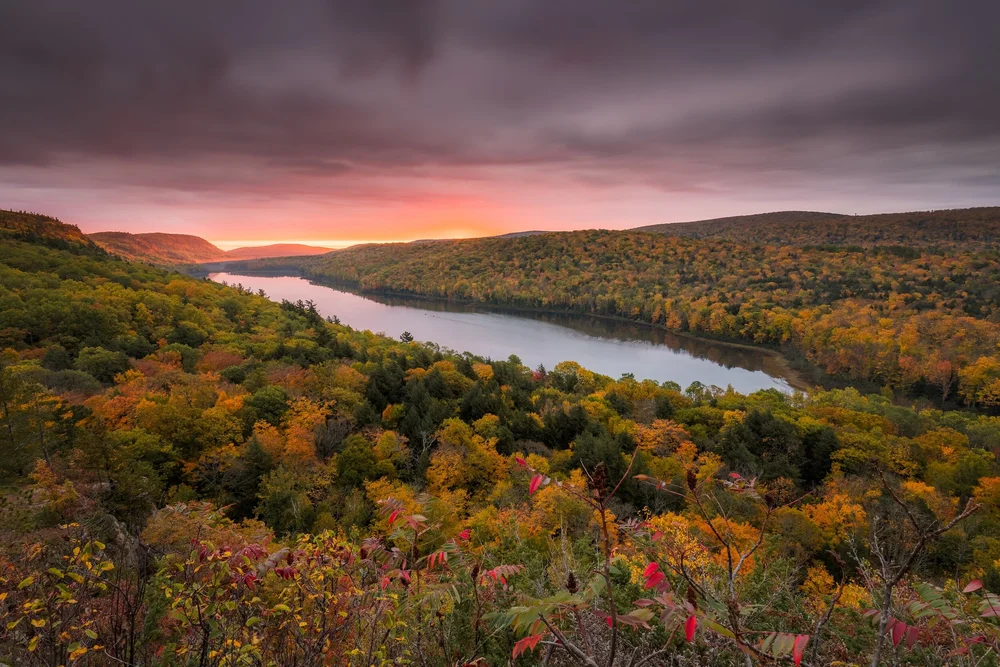 Michigan's Fall Colors: Complete Guide to Exploring Nature's ...