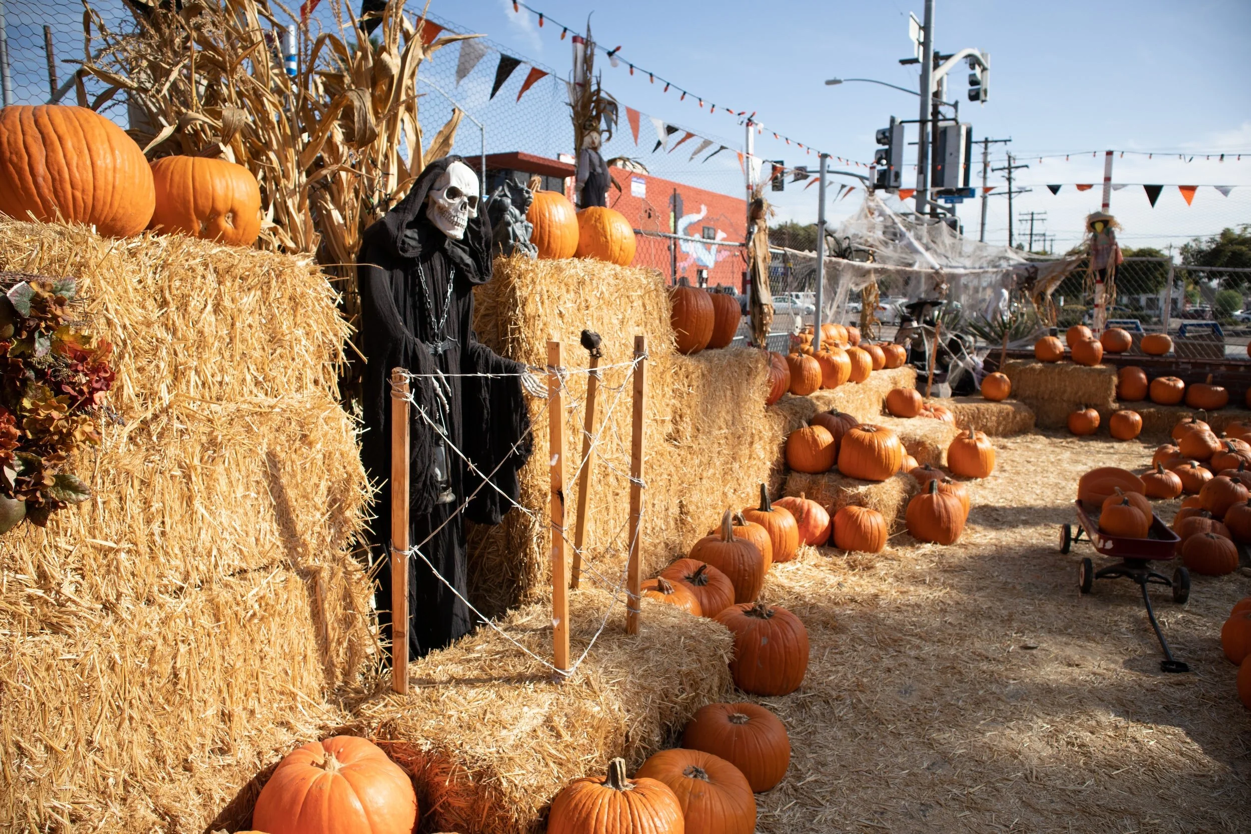 Michigan's Fall Colors: Complete Guide to Exploring Nature's ...