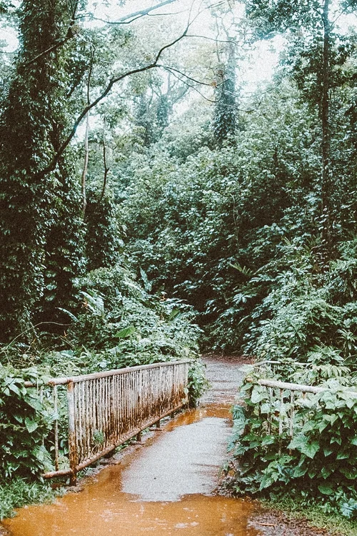 Why I Love Hawaii | Tara Michelle