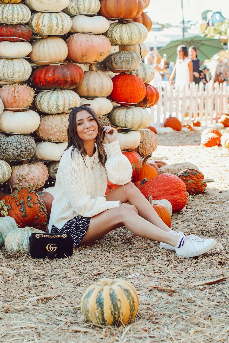 Tara Michelle | Day at the Pumpkin Patch