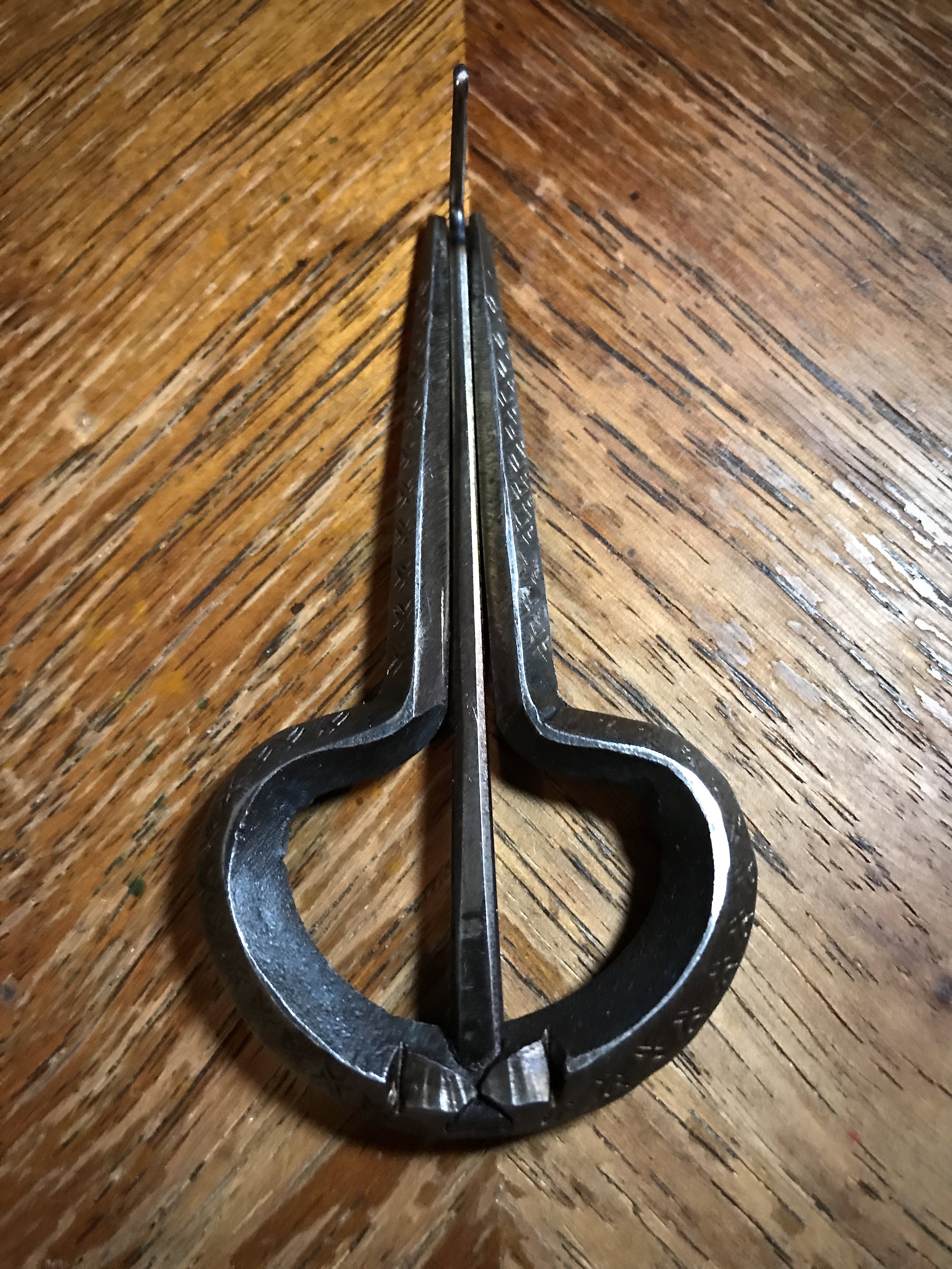 Indian Morchang — The Harpery