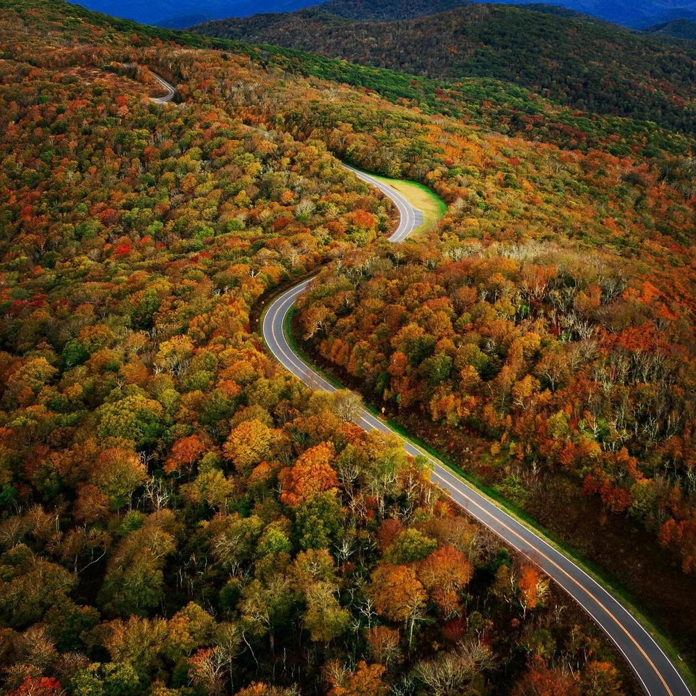 CHEROHALA SKYWAY — Mvading the Dragon