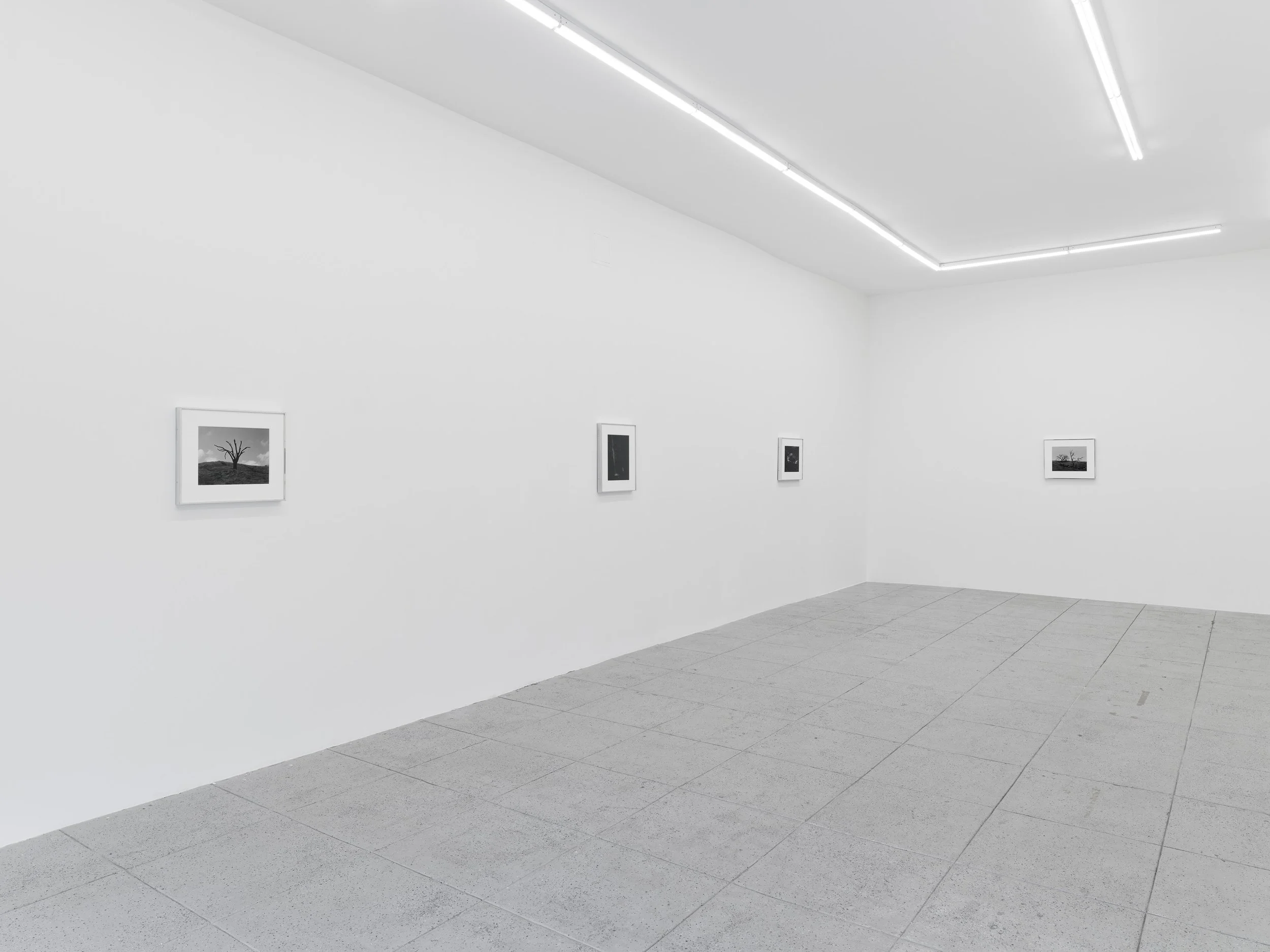Mark Armijo McKnight Los Angeles June 2023 — PAUL SOTO GALLERY