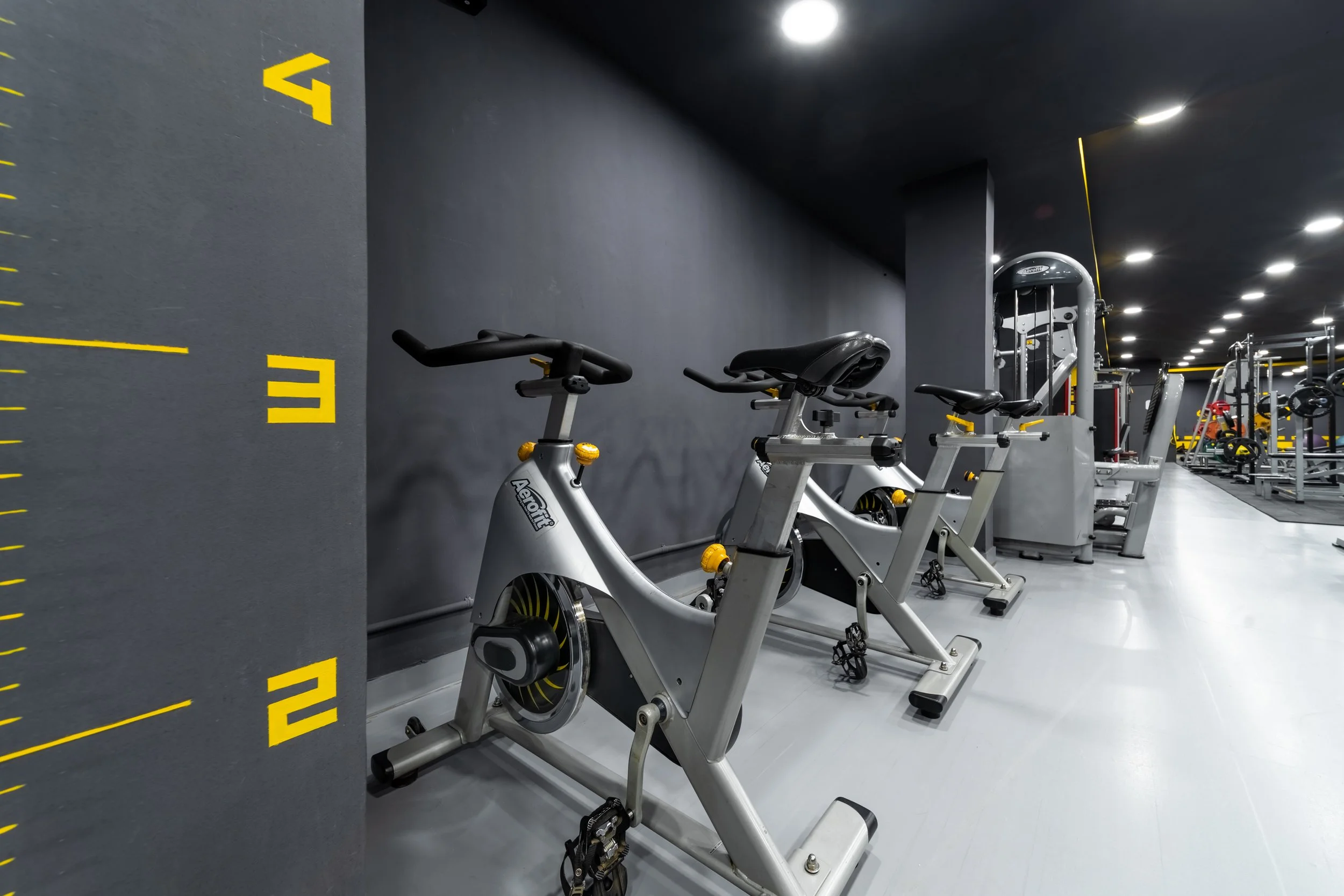 Fit Society Gym | Capture Fitness Moments — Nihaal Ramesh Photography