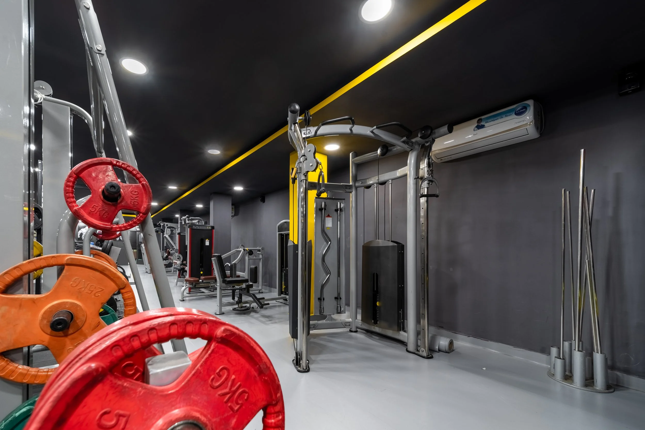 Fit Society Gym | Capture Fitness Moments — Nihaal Ramesh Photography