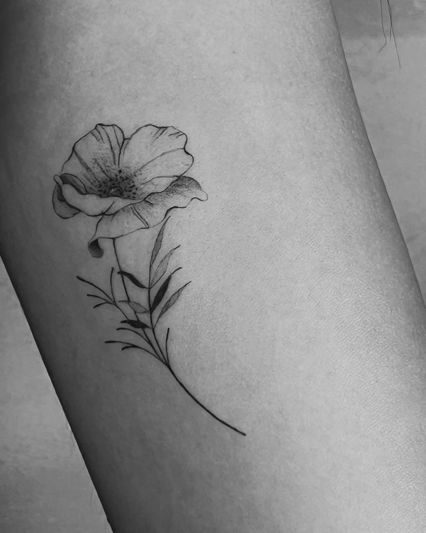 ALLA PRIMA LISBOA Fineline and Black&Grey tattoo studio in Lisbon