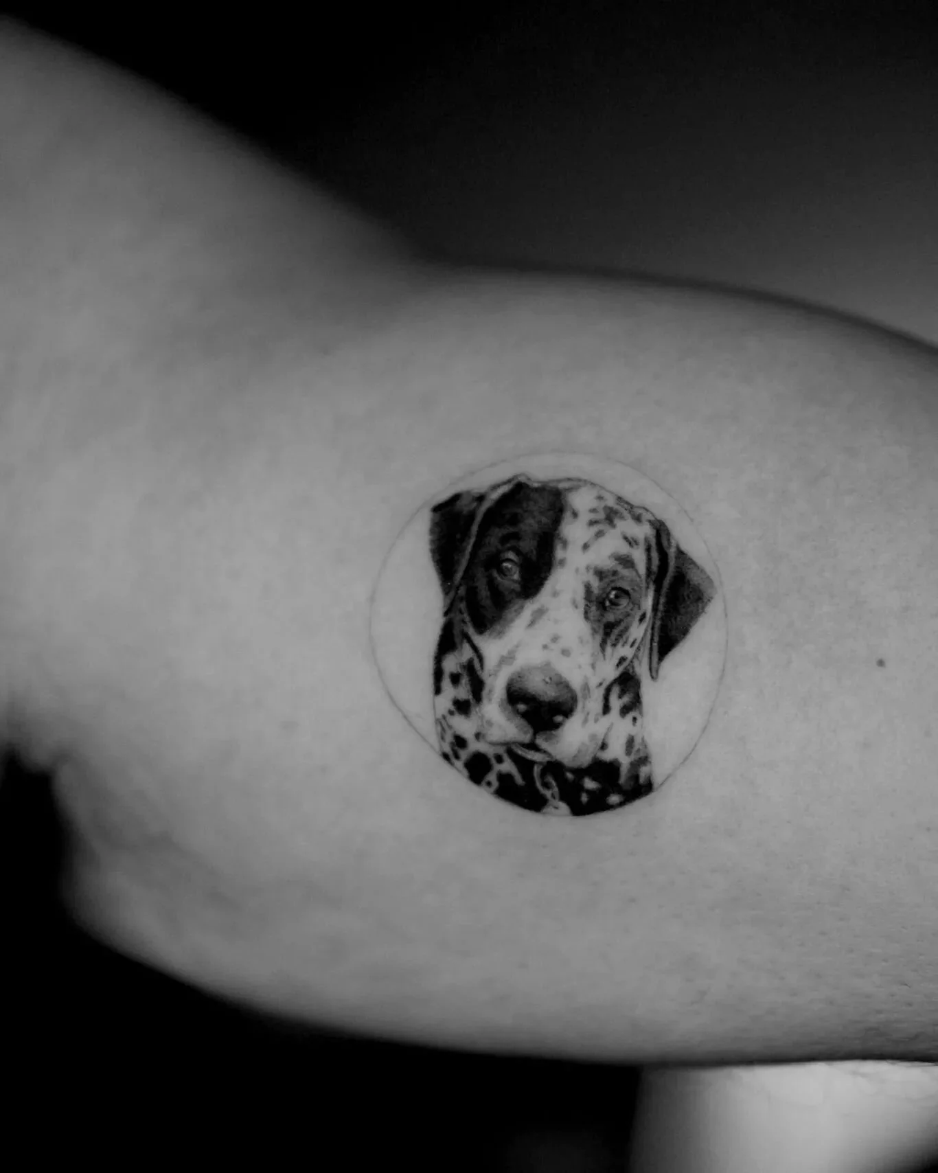 ALLA PRIMA LISBOA Fineline and Black&Grey tattoo studio in Lisbon