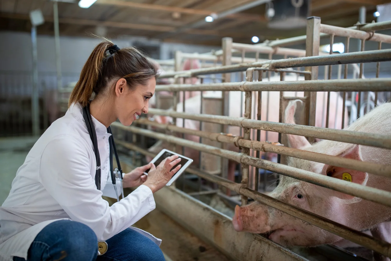 Disease Surveillance — Sask Pork