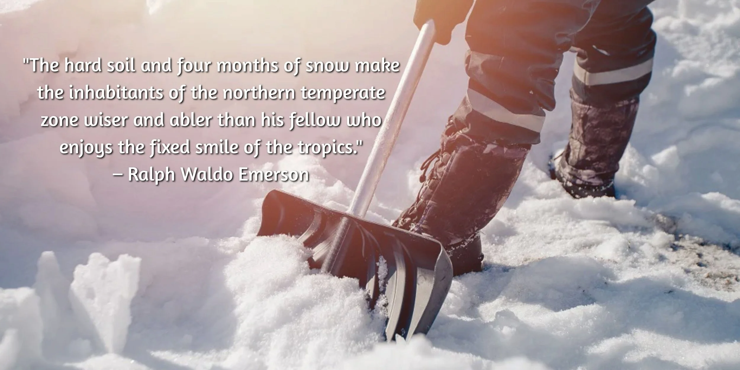 CP Community Newsletter — Columbia Plaza Community Portal