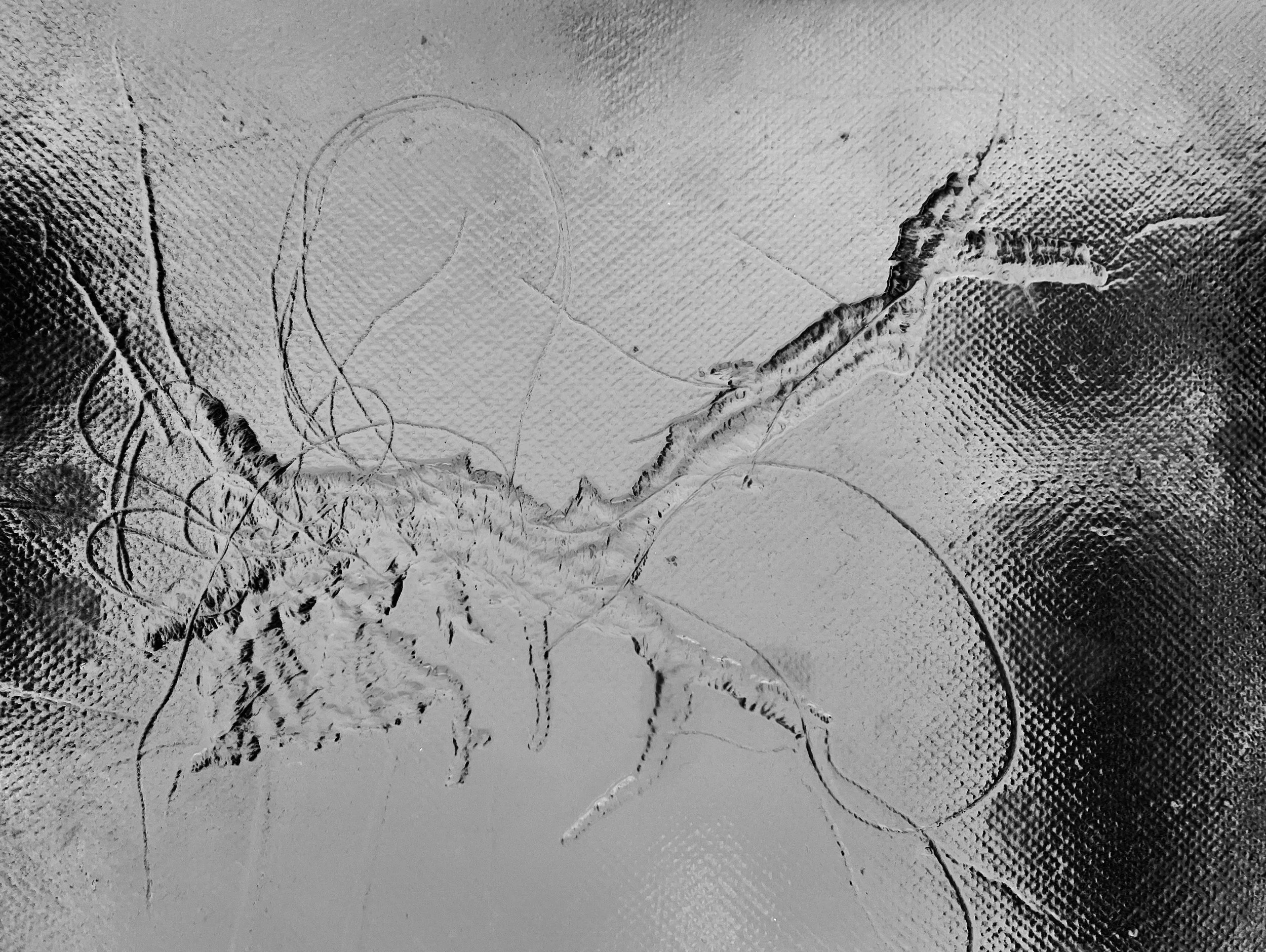 Nicola Crowson and Tina Wallbridge (mapworks 14) — Livingmaps Network