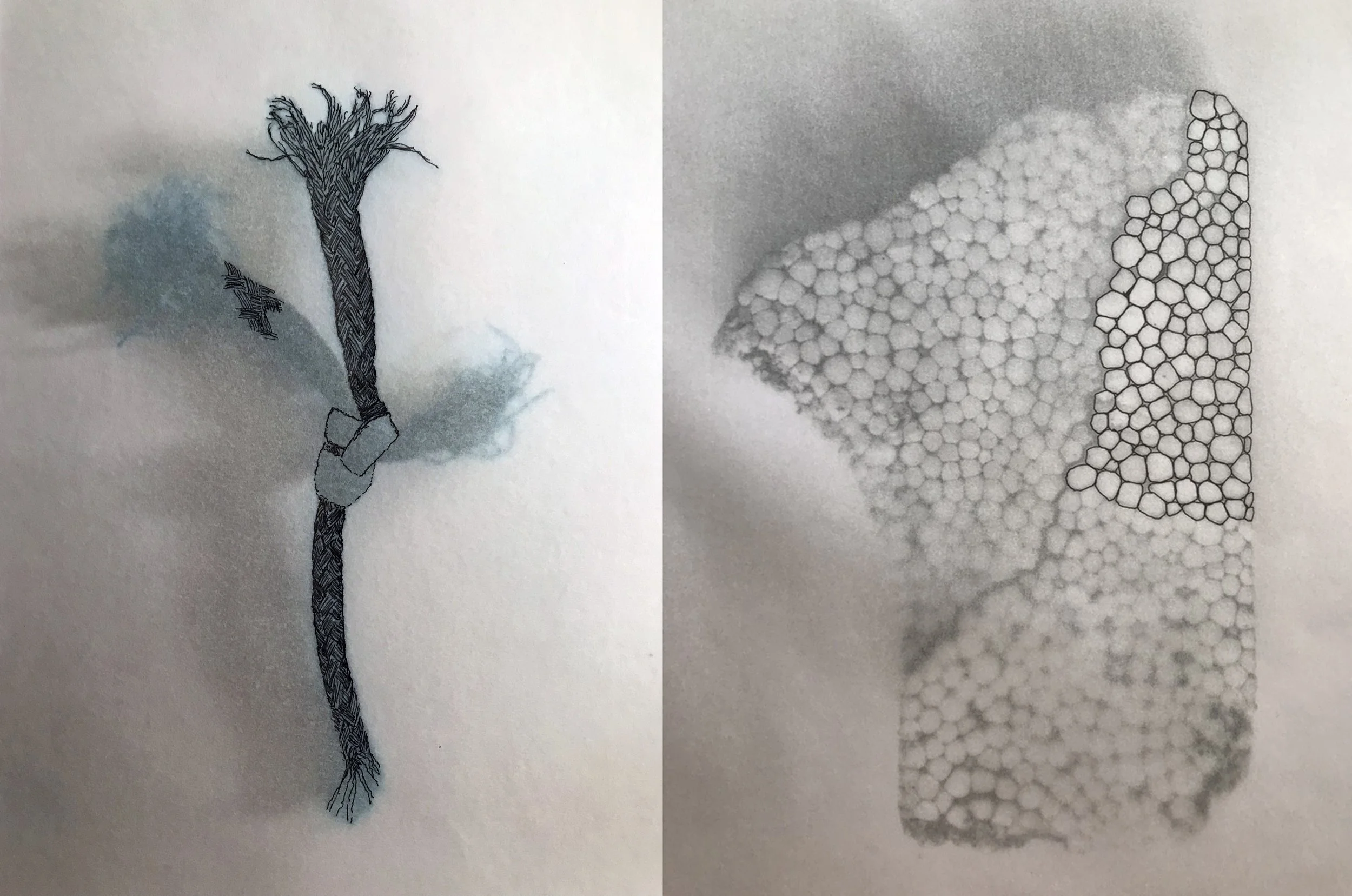 Nicola Crowson and Tina Wallbridge (mapworks 14) — Livingmaps Network