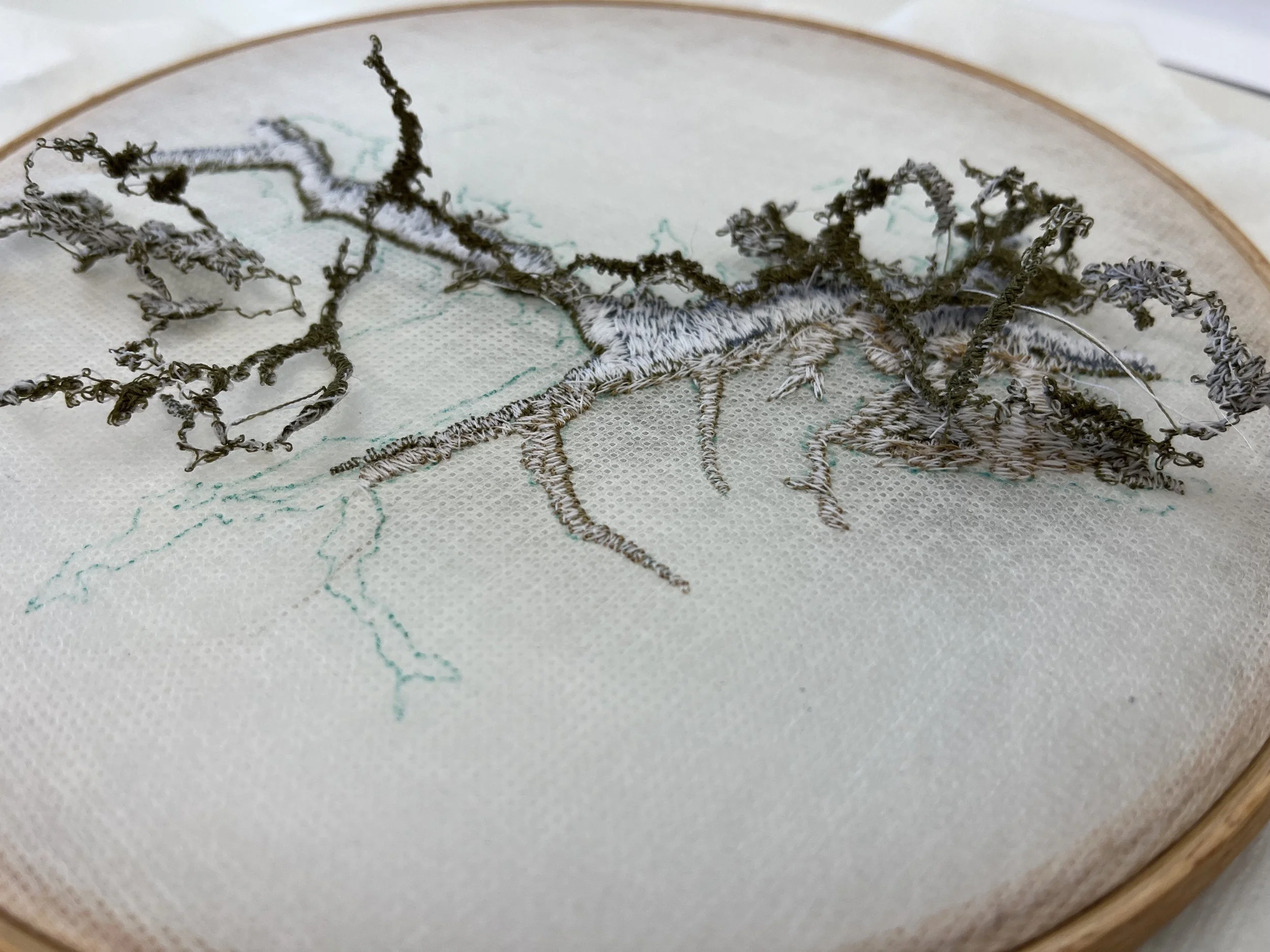 Nicola Crowson and Tina Wallbridge (mapworks 14) — Livingmaps Network