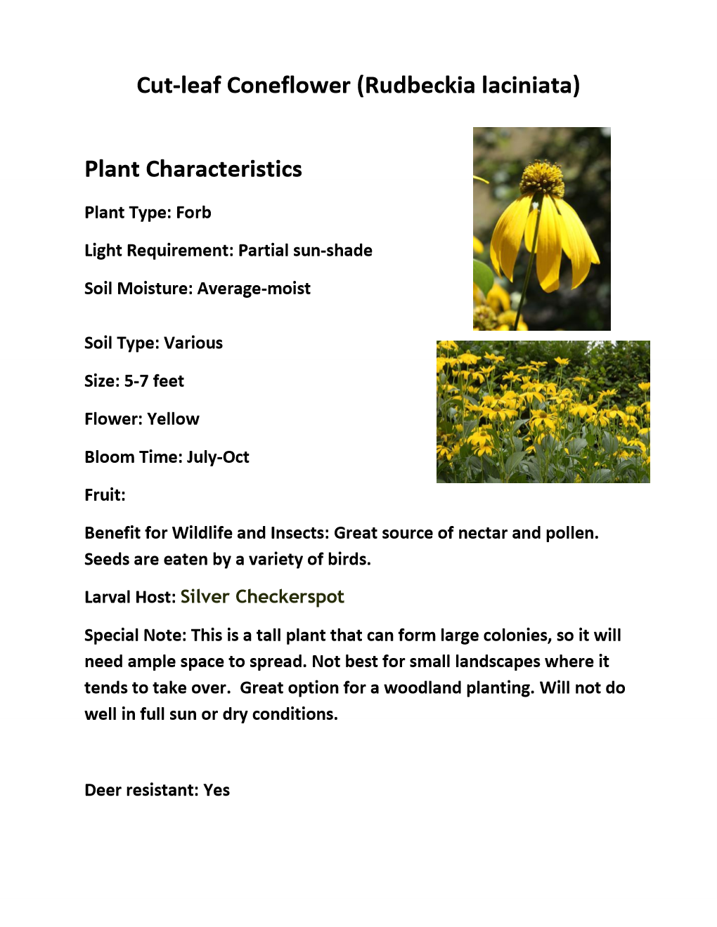 Purchase Native Plants — Plants for Ecology