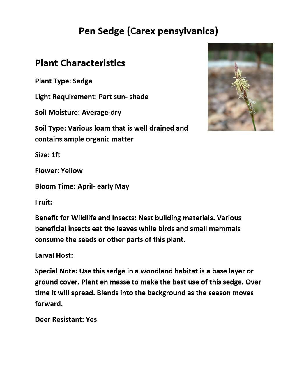 Purchase Native Plants — Plants for Ecology