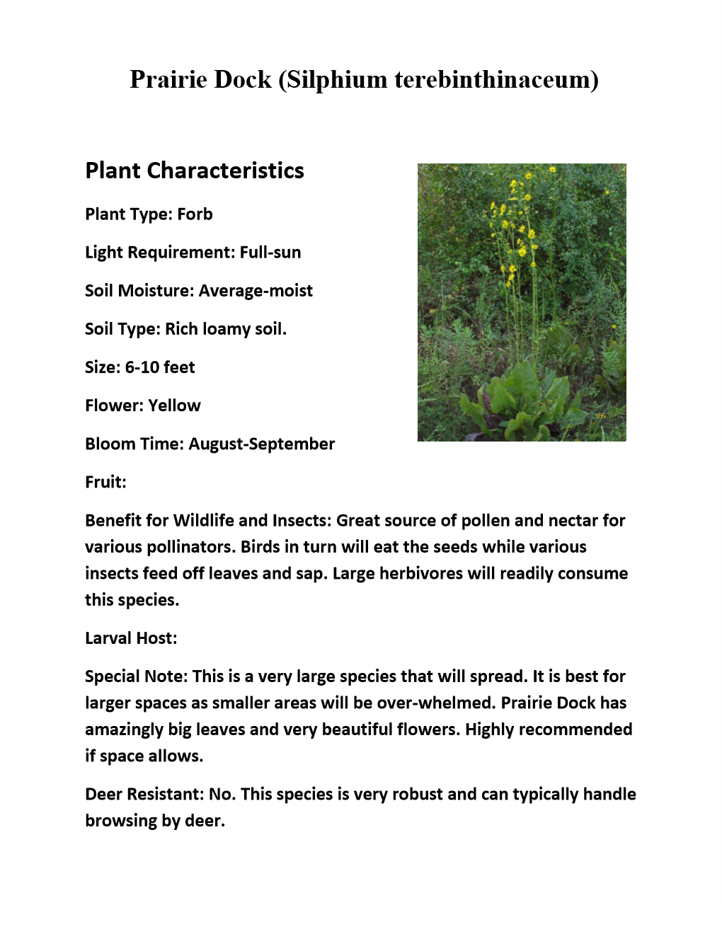 Purchase Native Plants — Plants for Ecology