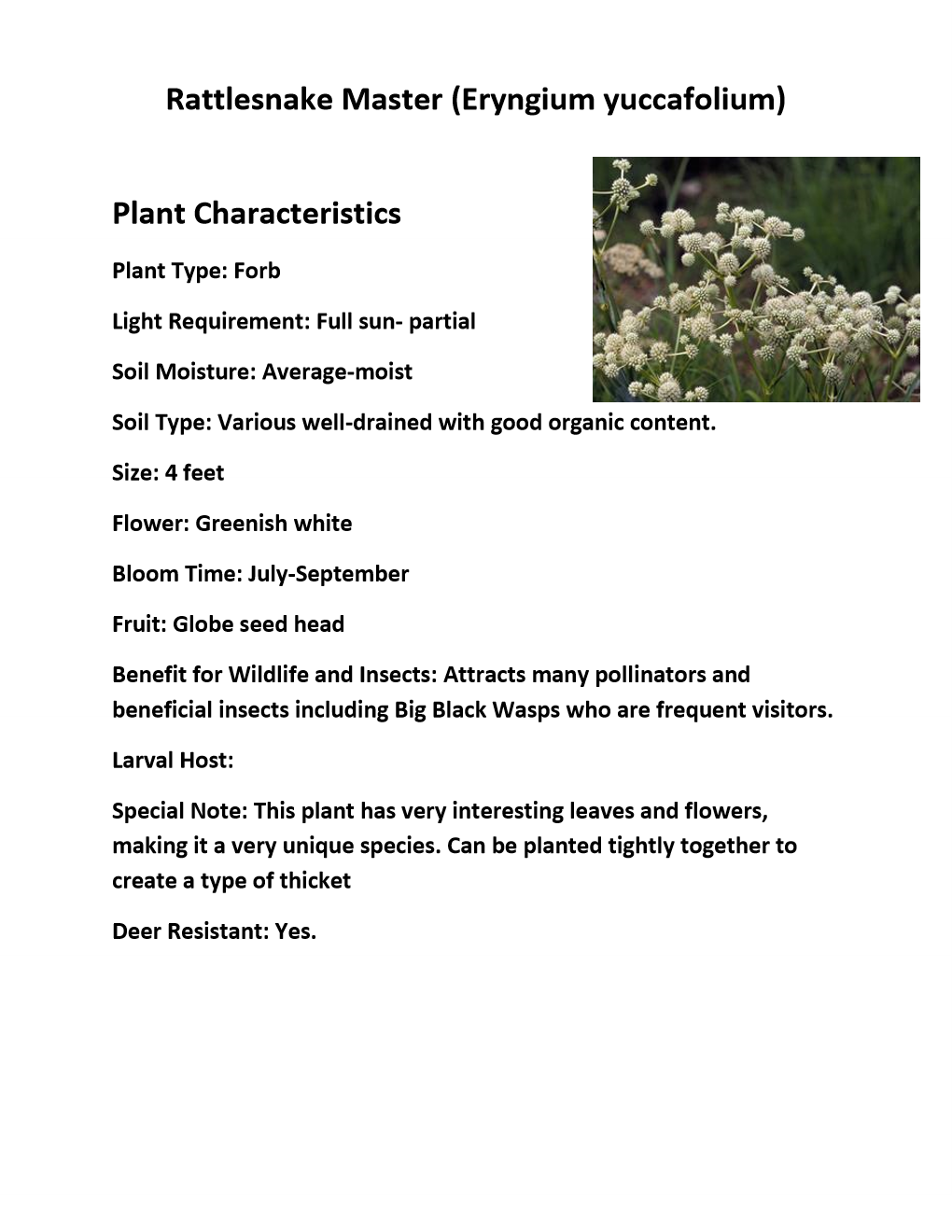Purchase Native Plants — Plants for Ecology