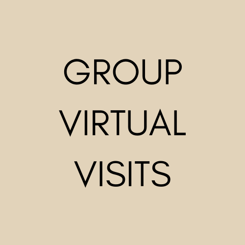 School Visits — Liesl Shurtliff