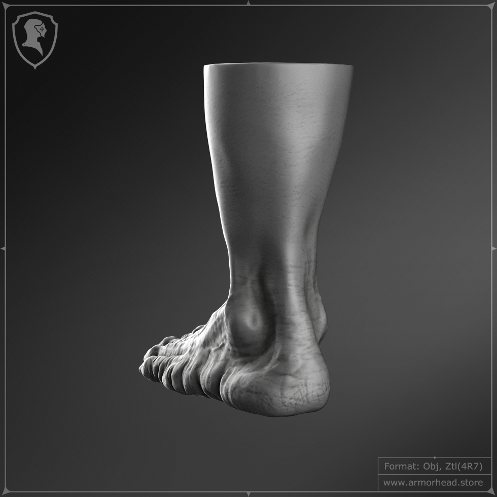 Foot Reference 3d